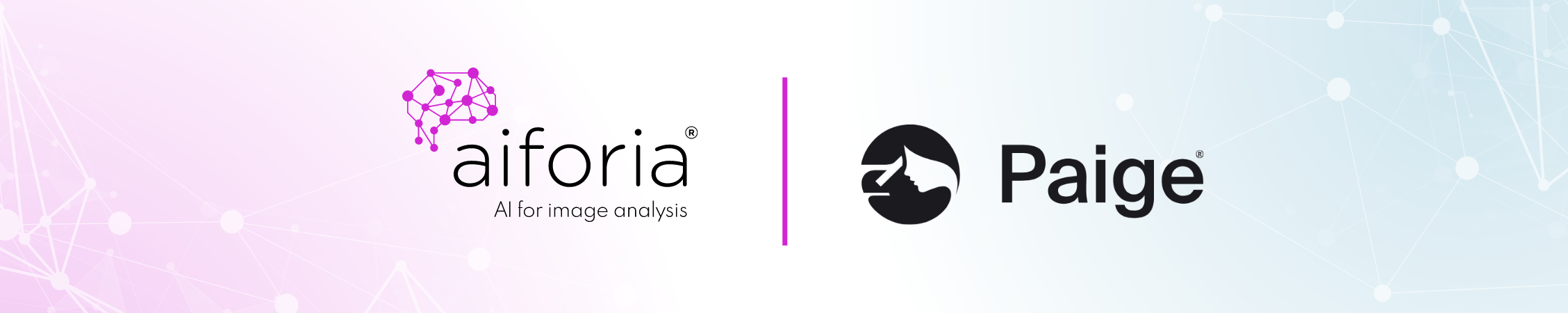 Aiforia and Paige form strategic partnership to advance AI integration in pathology laboratories